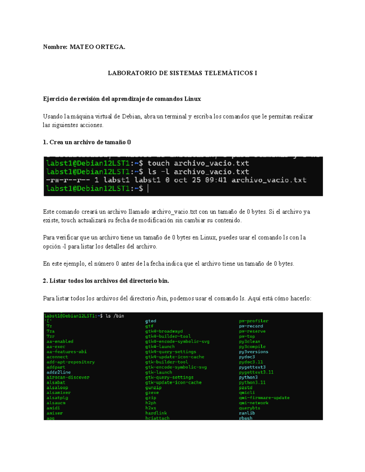 Ejercicios Linux - Nombre: MATEO ORTEGA. LABORATORIO DE SISTEMAS TELEMÁTICOS I Ejercicio de ...