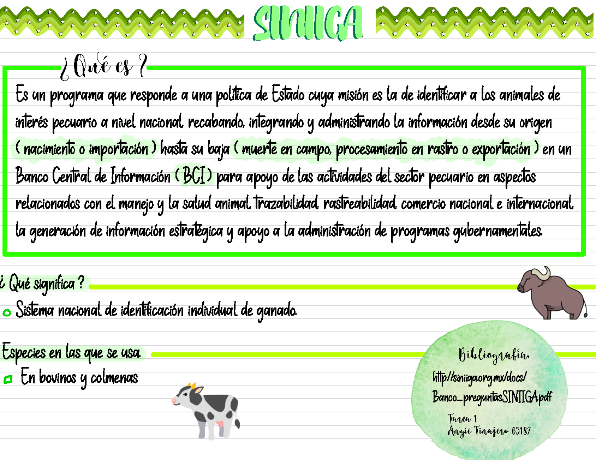 Siniiga - SINIIGA. ¿ Qué significa? Sistema nacional de identificación ...