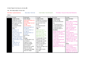 Program Cards level 3 - Program Card 1: Client Name: Safety checks: N/A ...