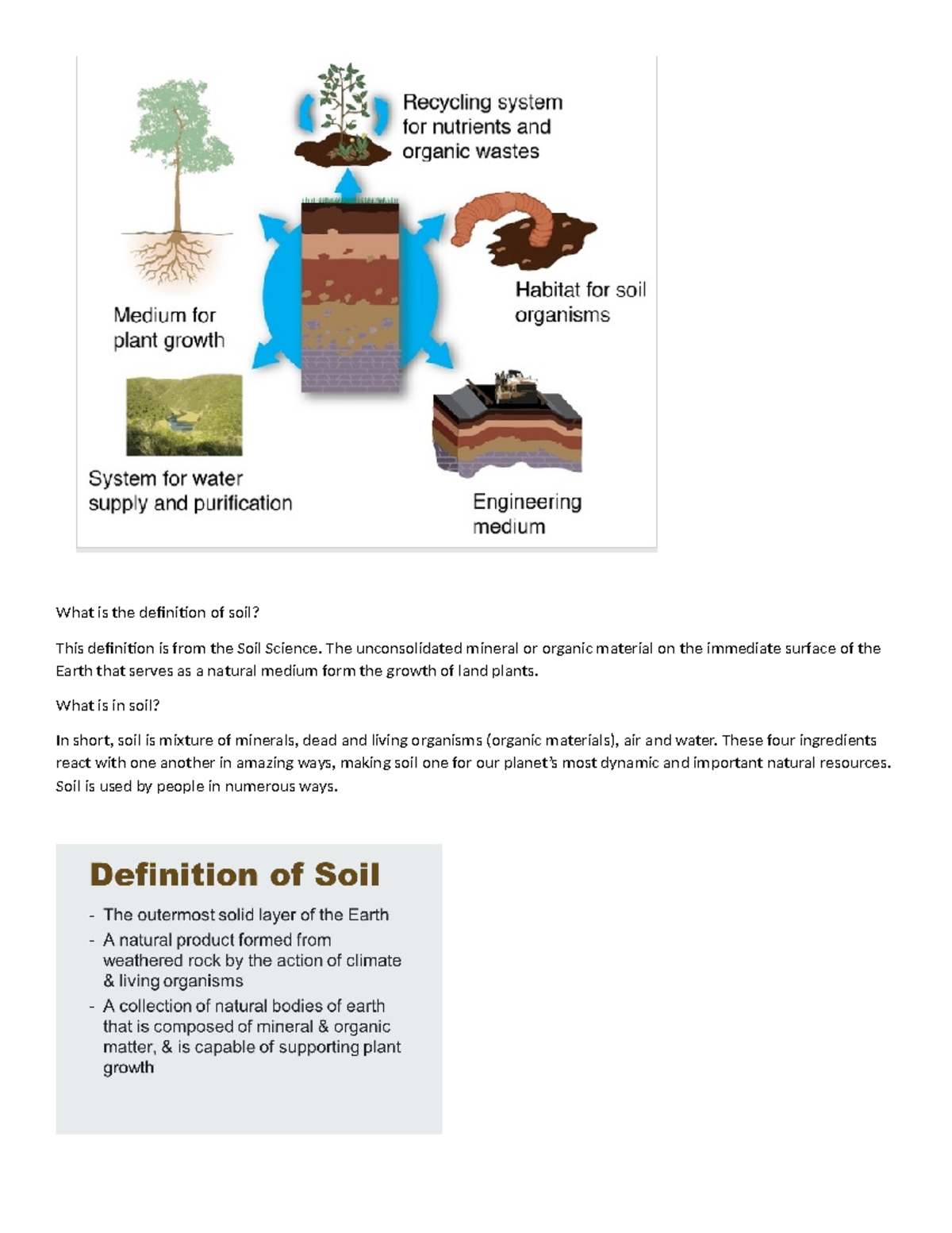 What is Soil Lets Dig In