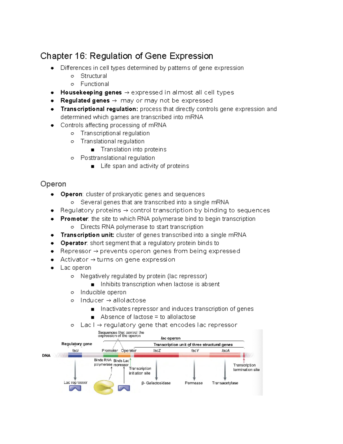 Chapter 16 Slides - Bio 1107 Slide notes semester 2, 2021-2022 school ...