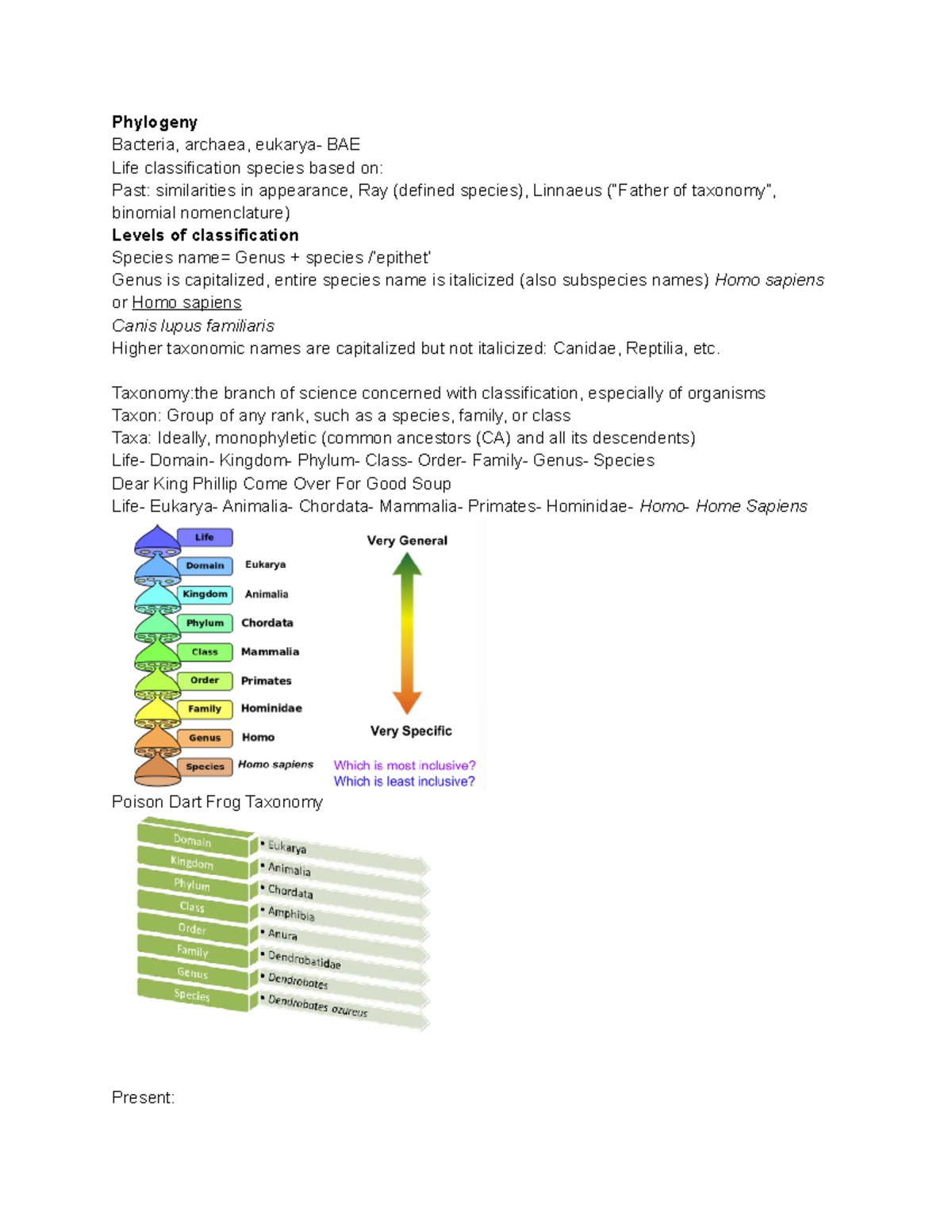 Phylogeny and Biodiversity - Phylogeny Bacteria, archaea, eukarya- BAE ...