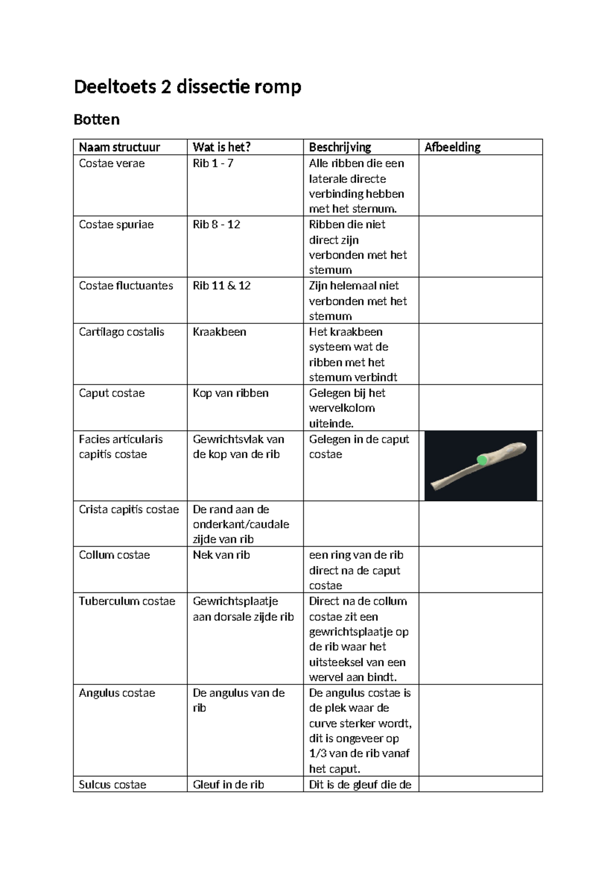 Deeltoets 2 dissectie romp - Deeltoets 2 dissectie romp Botten Naam ...