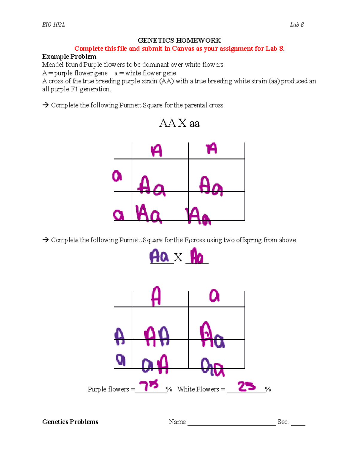 Case Lab08+Genetics+Homework copy - BIO 102LLab 8 GENETICS HOMEWORK ...