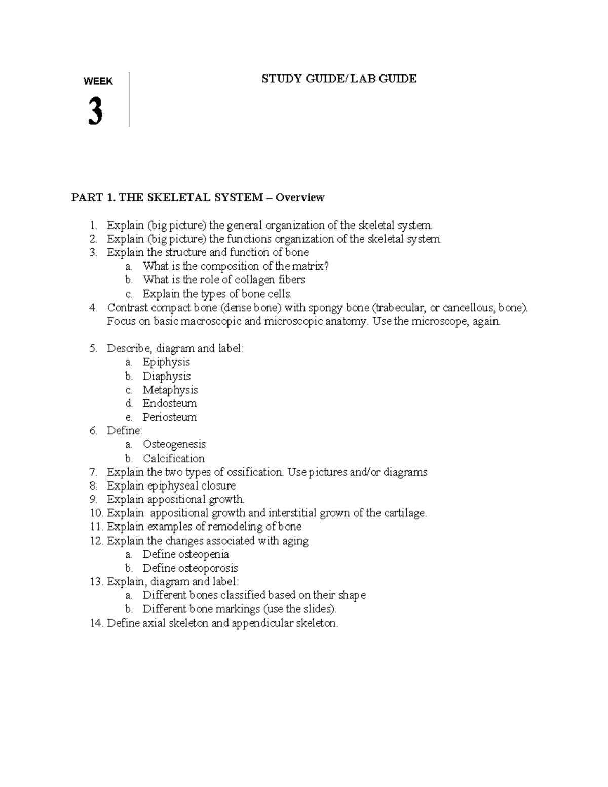Anatomy Study Guide 3 - STUDY GUIDE/ LAB GUIDE PART 1. THE SKELETAL ...