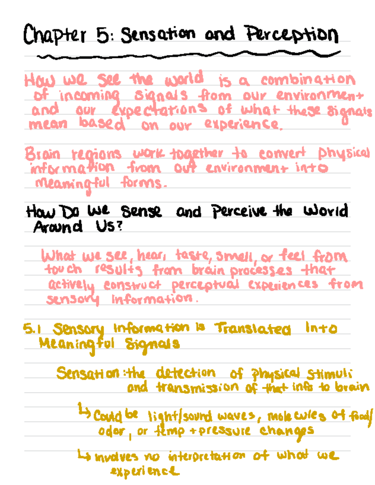 Chapter 5 - Sensation and Perception - Chapter 5 : sensation and Perception nor How we see the ...