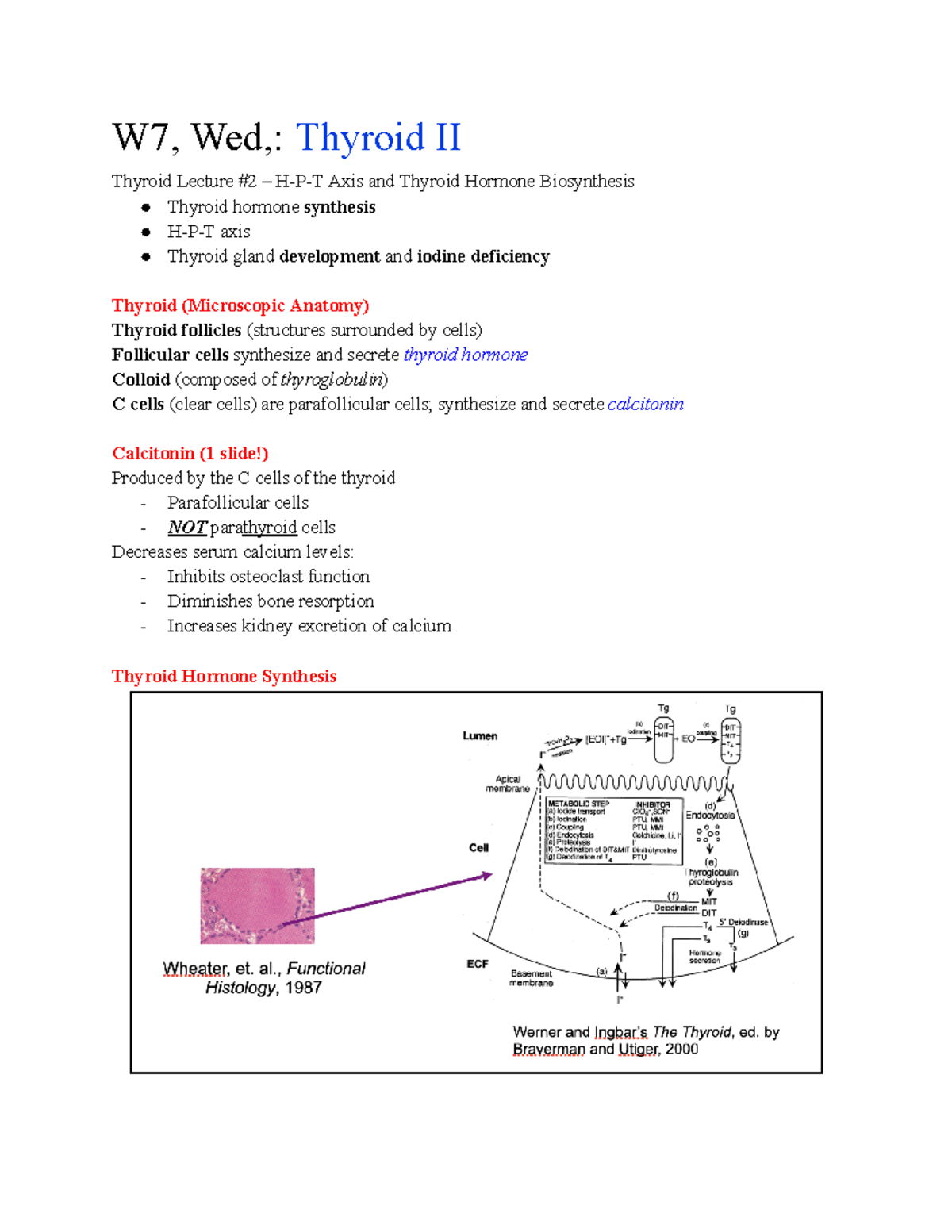 Thyroid II Lecture Notes - W7, Wed,: Thyroid II Thyroid Lecture #2 – H ...