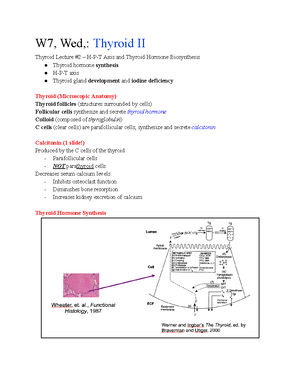 AP Patterning 2 Lecture Notes - Better representation of what is ...