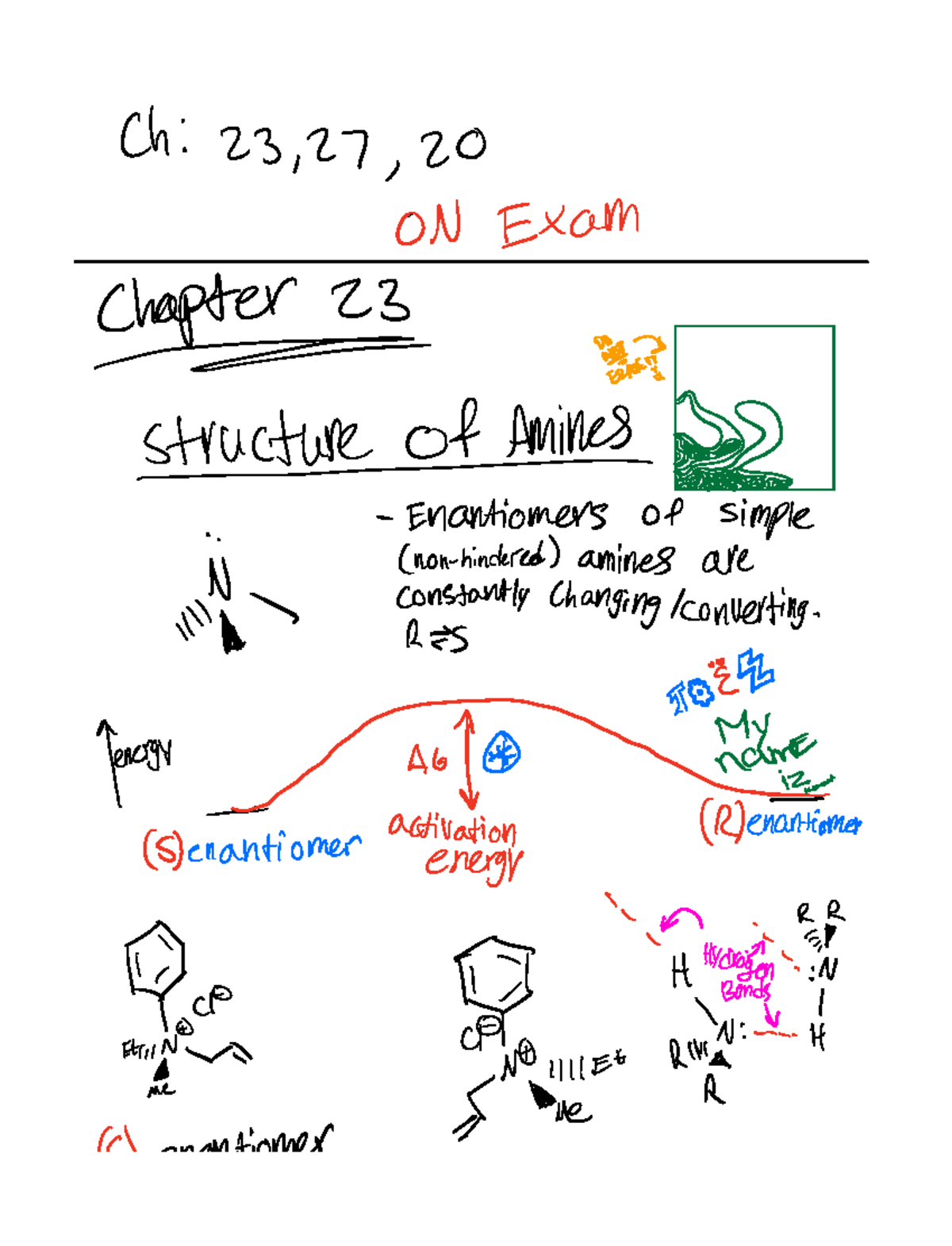 Exam 3 notes - Chapter 26-29 - Ch 23,27 20 ON Exam chapter 23 structur ...