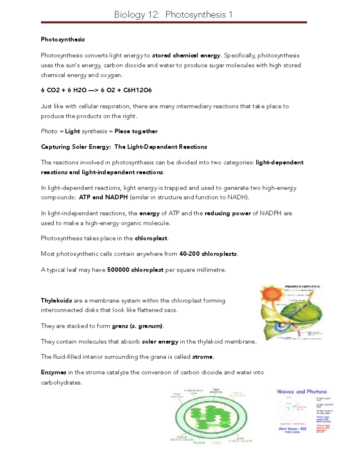 2019 Photosynthesis Lesson 1 Student note - Photosynthesis ...
