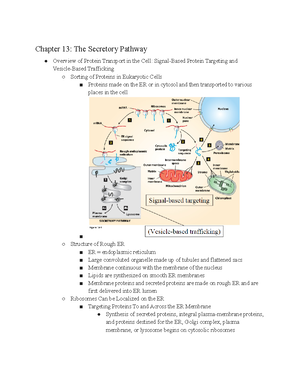 BISC 401 Chapter 2 - Dr. Jeremy Bird Molecular Biology of the Cell ...