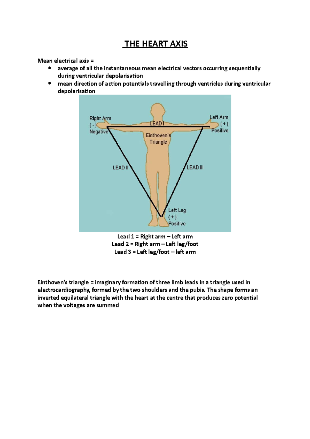 THE Heart AXIS - Lt4 - Lecture notes 4 - THE HEART AXIS Mean electrical ...