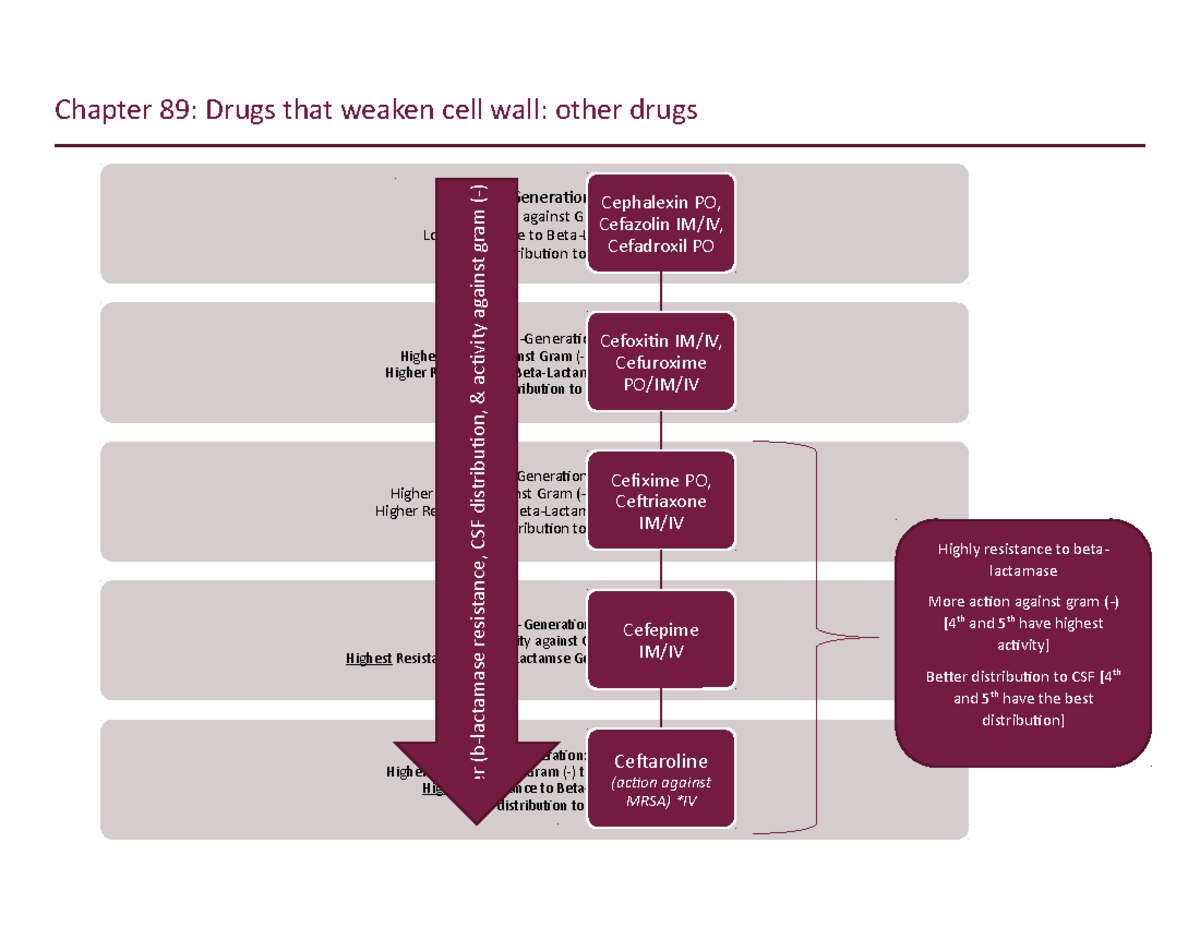 Chapter 89 - Drugs that weaken the cell wall - Chapter 89: Drugs that ...