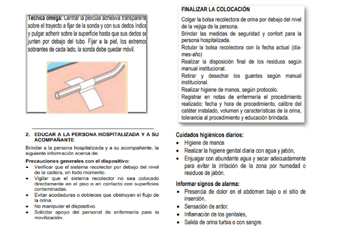 Sonda - enfermeria - Bases del cuidado de enfermería - Studocu