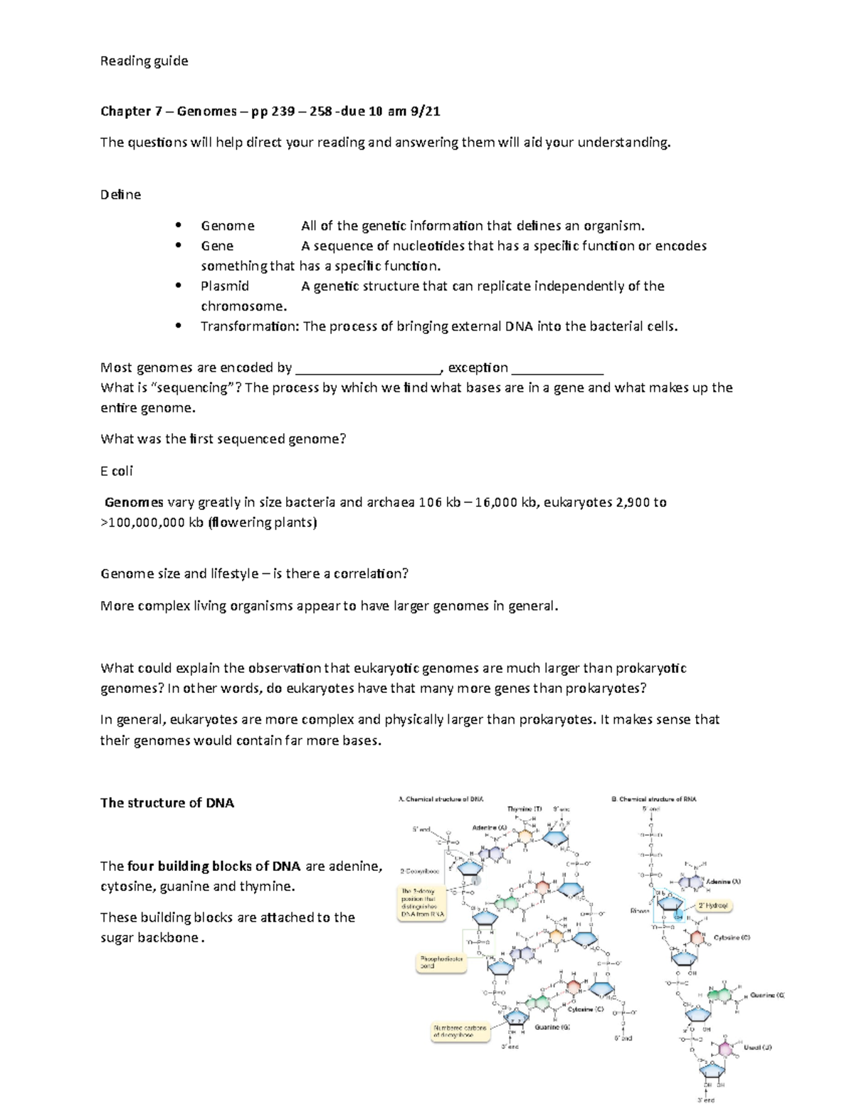 Chapter 7 reading guide genomes - Chapter 7 – Genomes – pp 239 – 258 ...