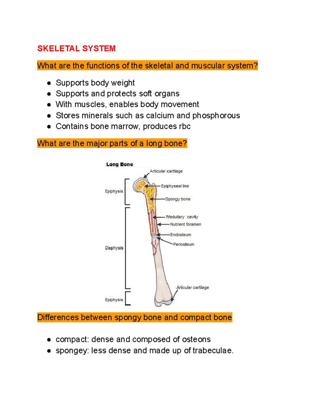 Bones - notes - SKELETAL SYSTEM What are the functions of the skeletal ...
