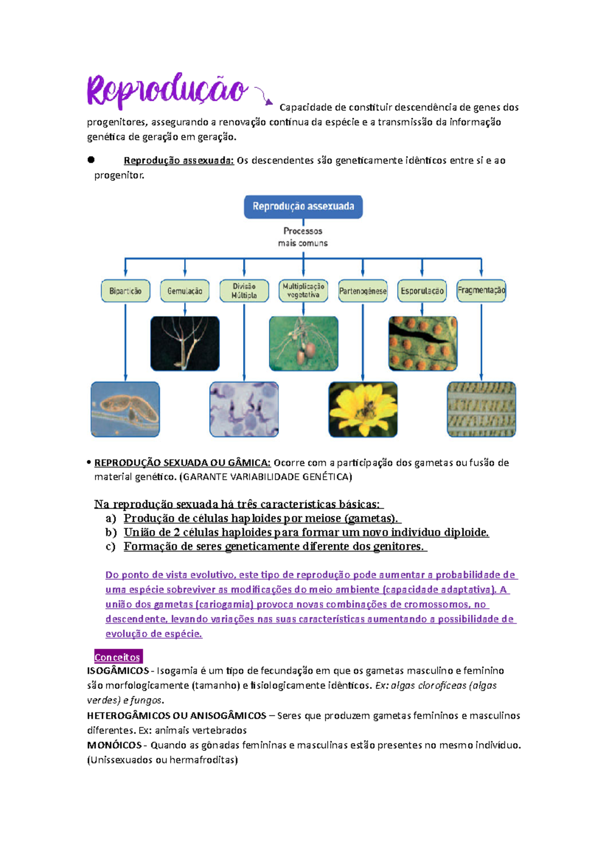 Aula embriologia - sarah - Capacidade de constituir descendência de ...