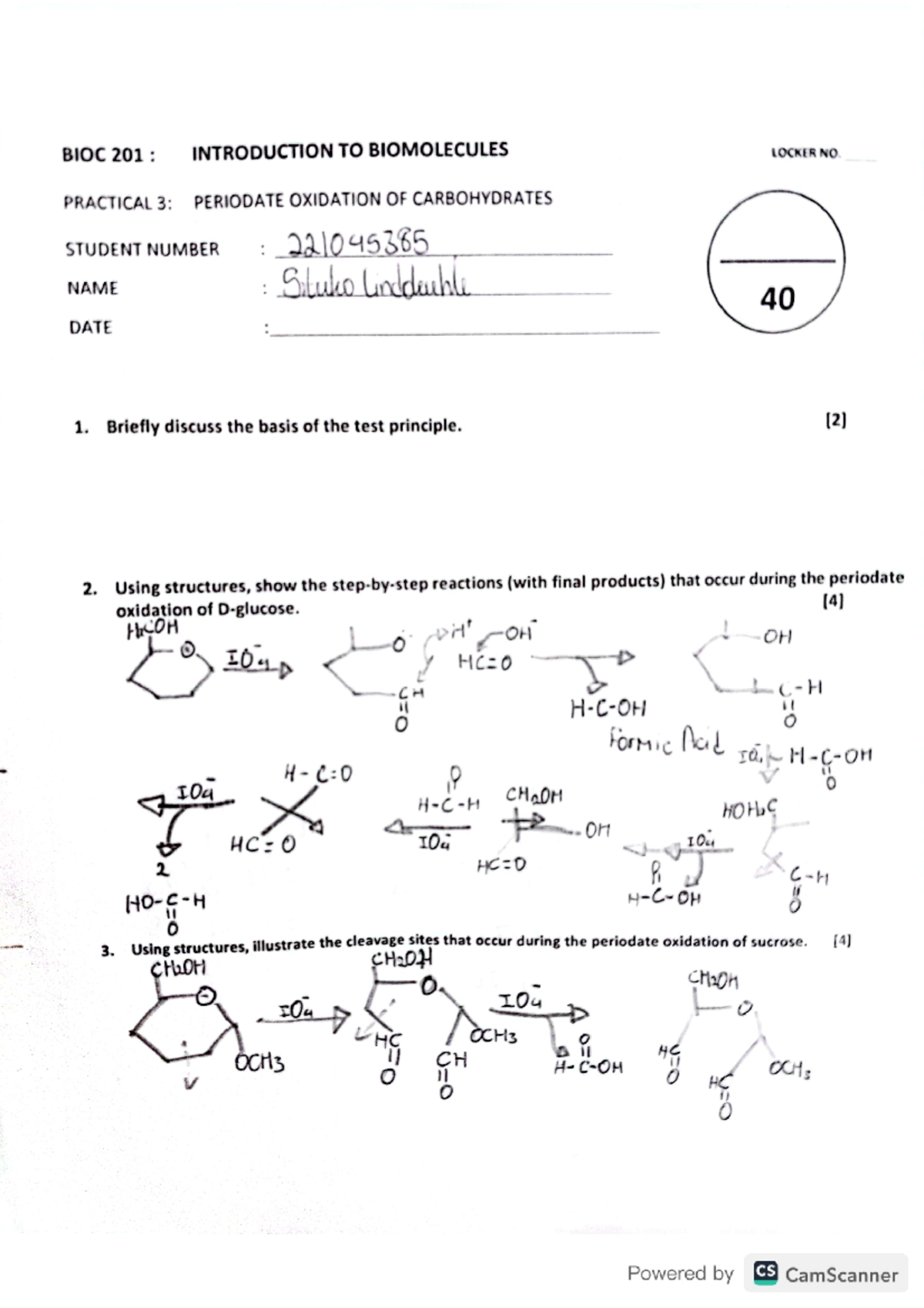 Biochem PRAC3 - BIOC201 - Studocu