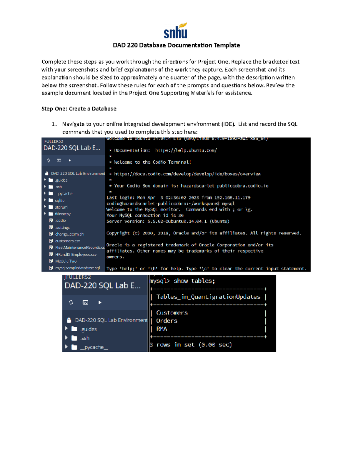 Fuller Module 6 Project one - DAD 220 Database Documentation Template Complete these steps as ...