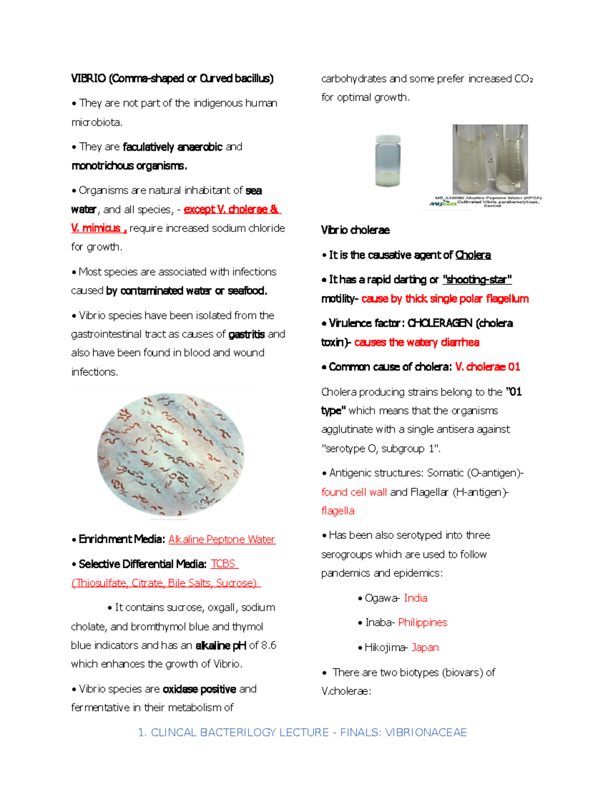 Vibrio - Lecture notes 1 - VIBRIO (Comma-shaped or Curved bacillus ...