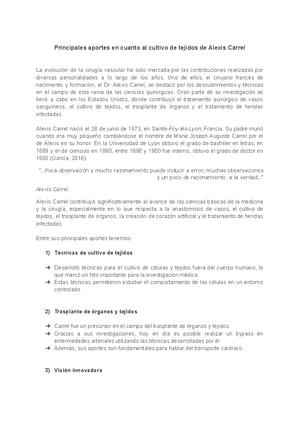 12842 York YVAA 064 - Model YVAA Air Cooled Screw Compressor Liquid ...