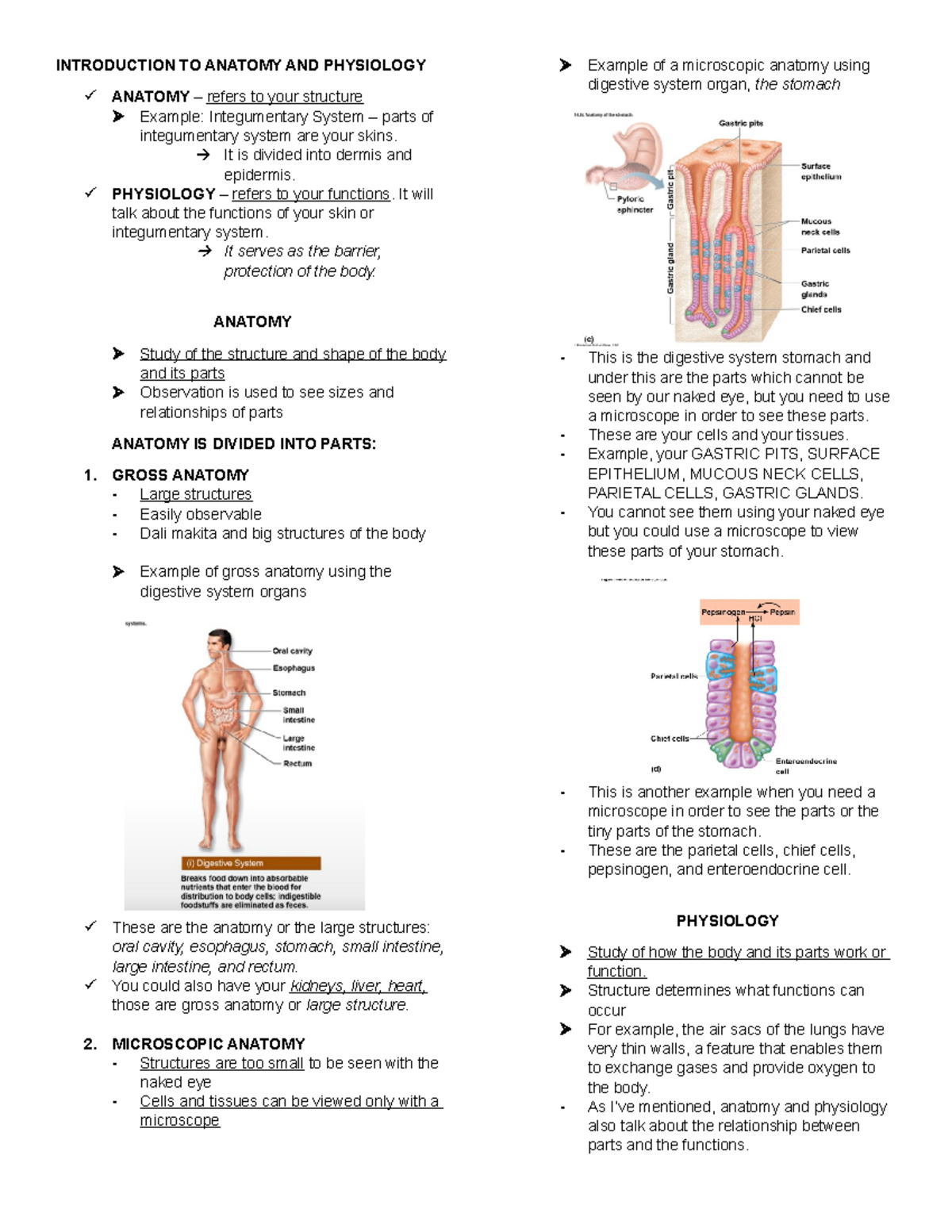 Introduction TO Anatomy AND Physiology - INTRODUCTION TO ANATOMY AND ...
