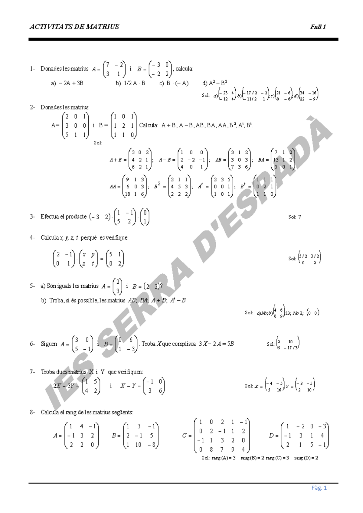Exercicis Matrius - A por matemáticas - ACTIVITATS DE MATRIUS Full 1 Pàg. 1 1 - Donades les ...
