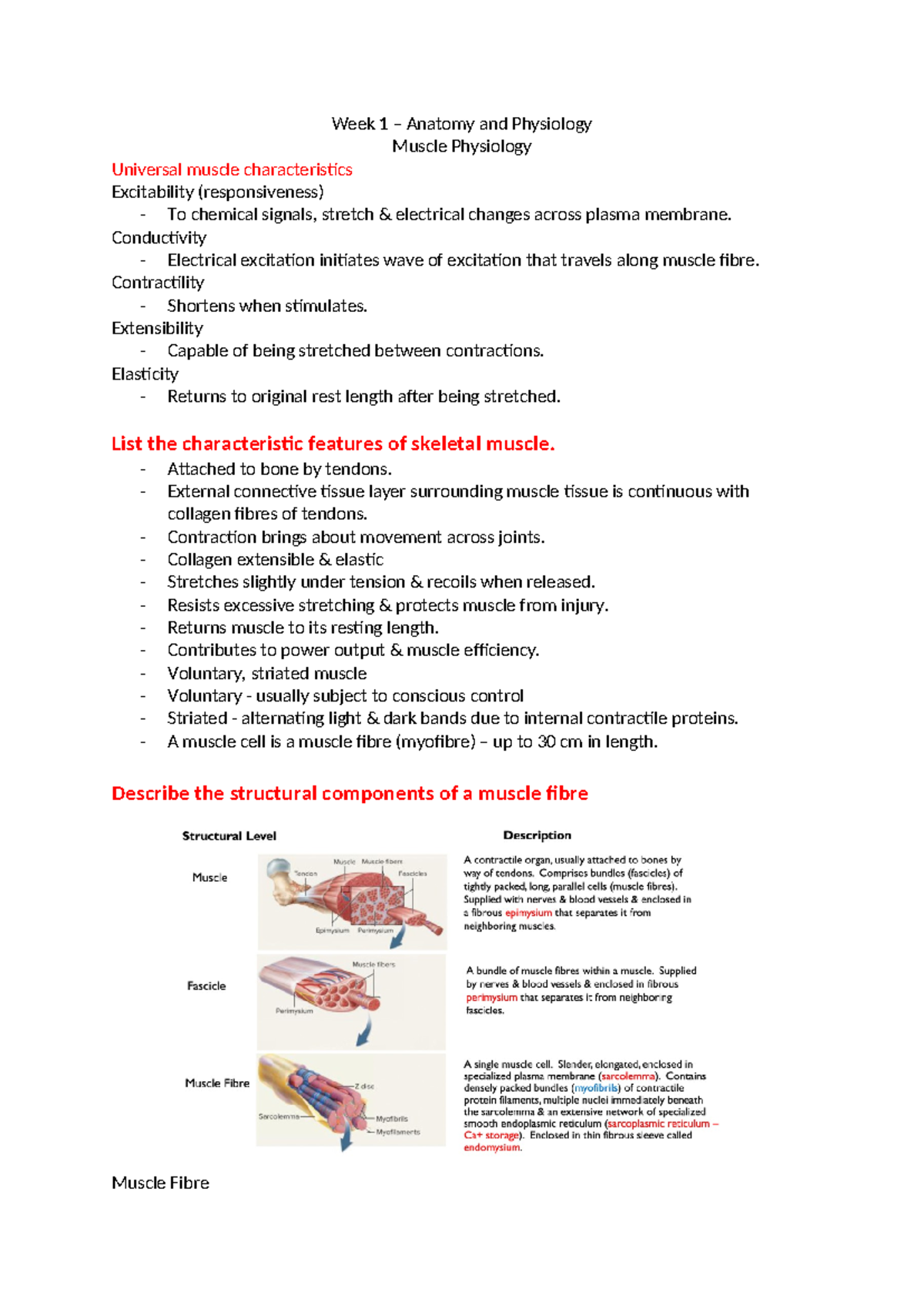 Week 1 - Muscle Physiology notes - Week 1 – Anatomy and Physiology ...