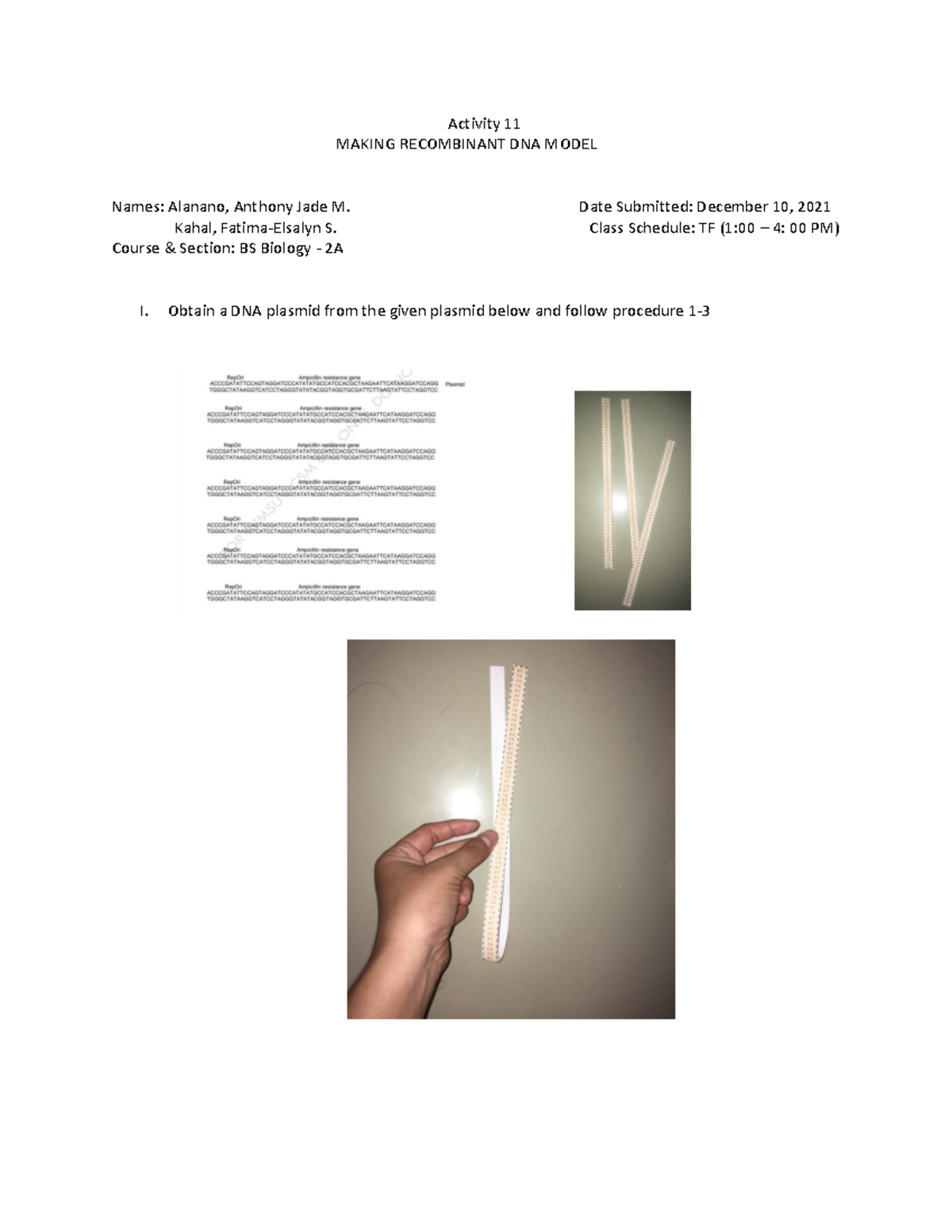 Activity-11 - MAKING RECOMBINANT DNA MODEL - Activity 11 MAKING ...