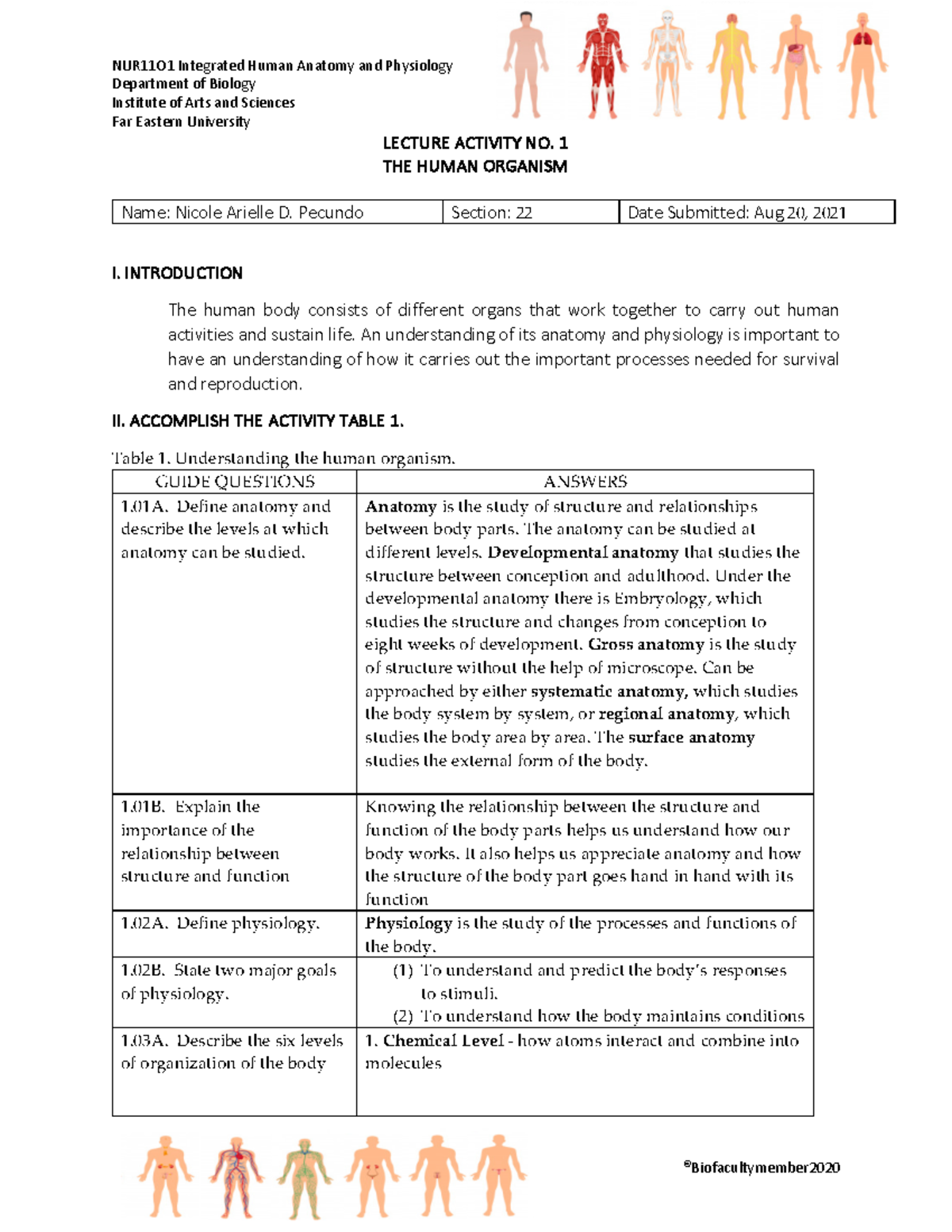 Lecture Activity: The Human Organism - Department of Biology Institute ...
