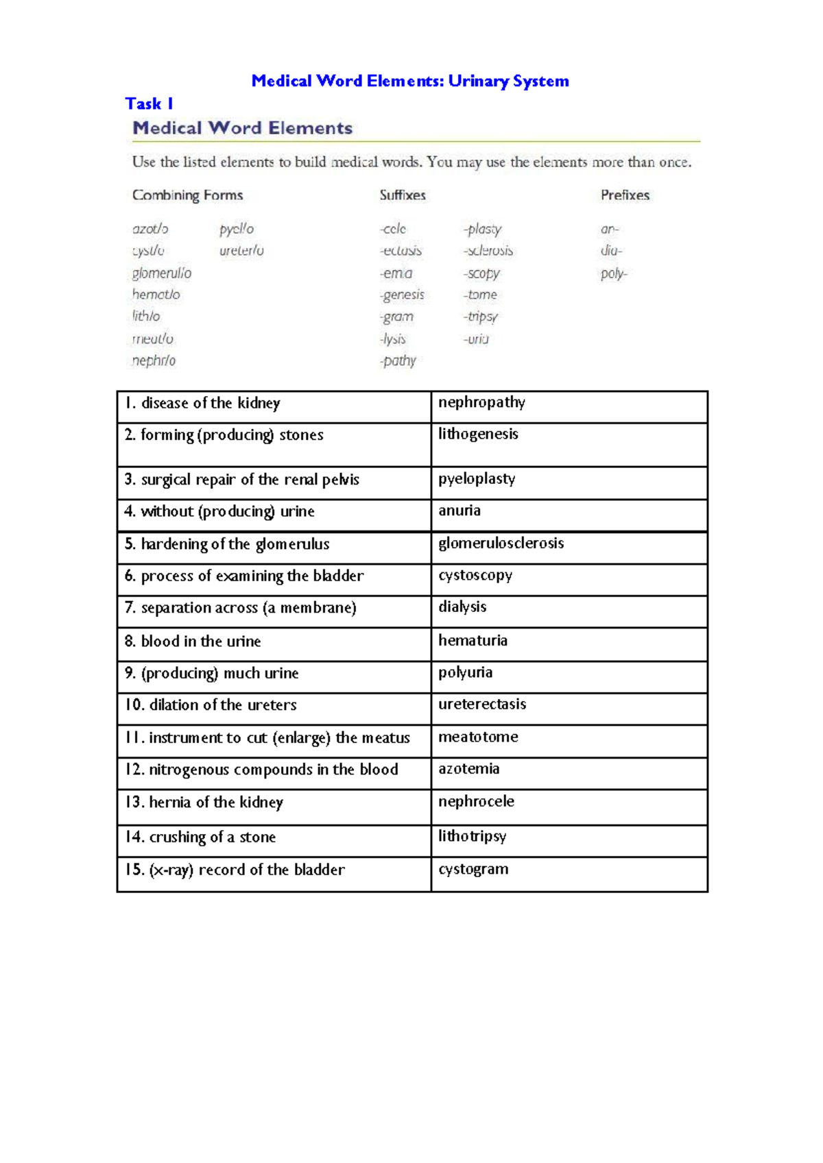 08 Module 5 Urinary Terminologies Activity 50 - Medical Word Elements ...