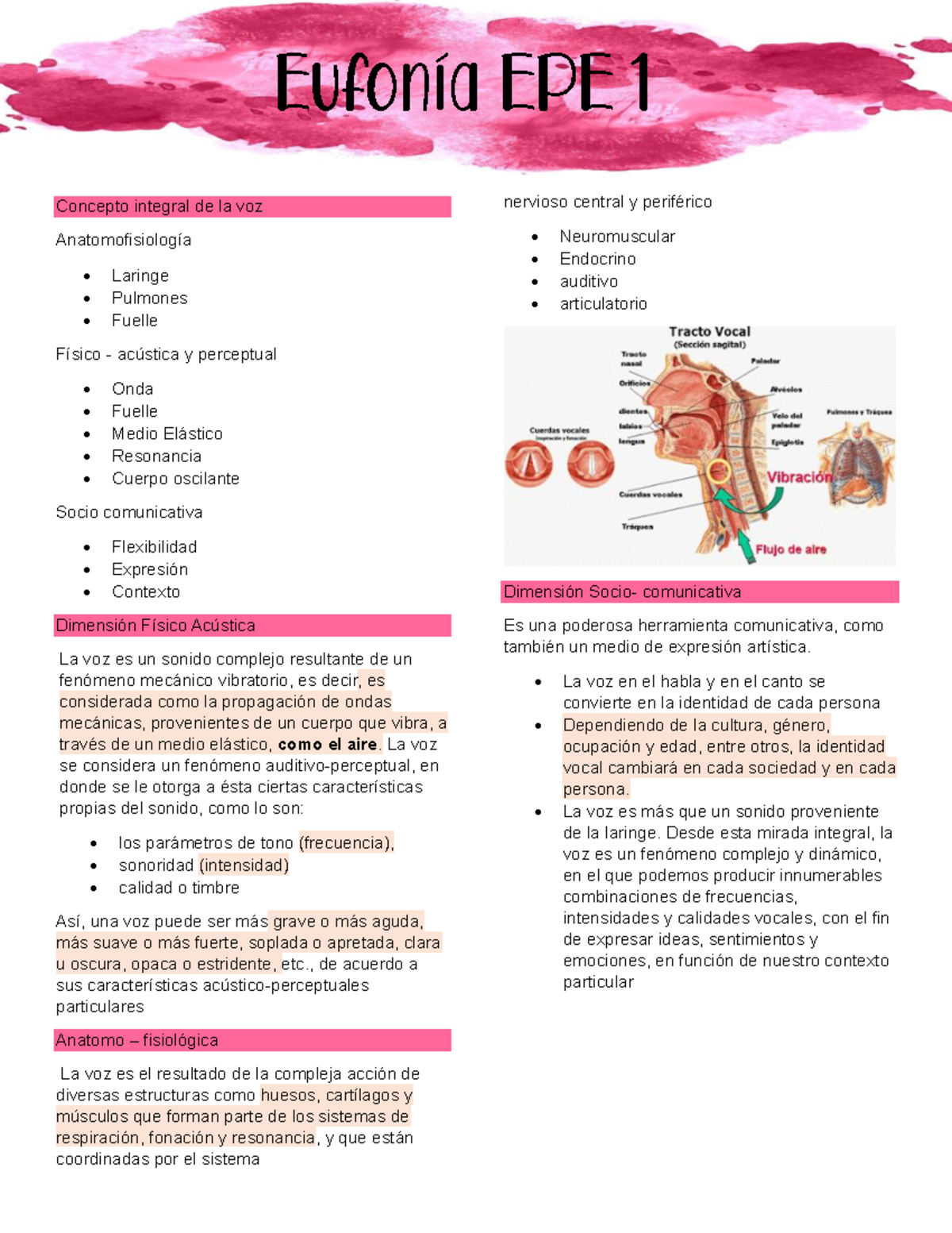 Eufonia - K Concepto integral de la voz Anatomofisiología - Laringe ...