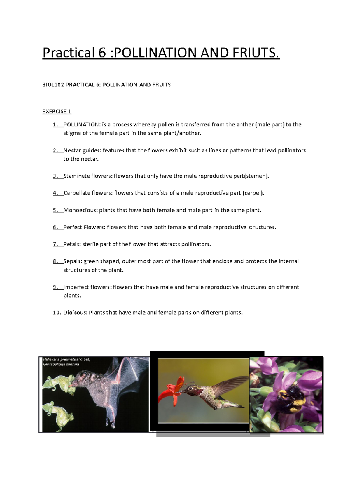 Biol102 Practical 6 Updated - Practical 6 :POLLINATION AND FRIUTS. BIOL102 PRACTICAL 6 ...