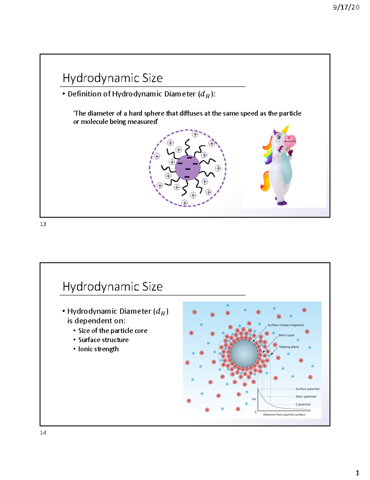 DLS lecture slides - Hydrodynamic Size • Definition of Hydrodynamic ...