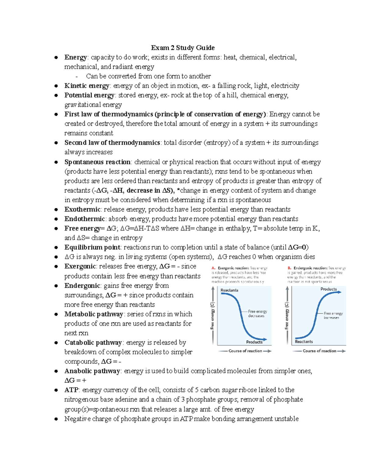 Exam 2 Biology 1107 Study Guide - Exam 2 Study Guide Energy : capacity ...