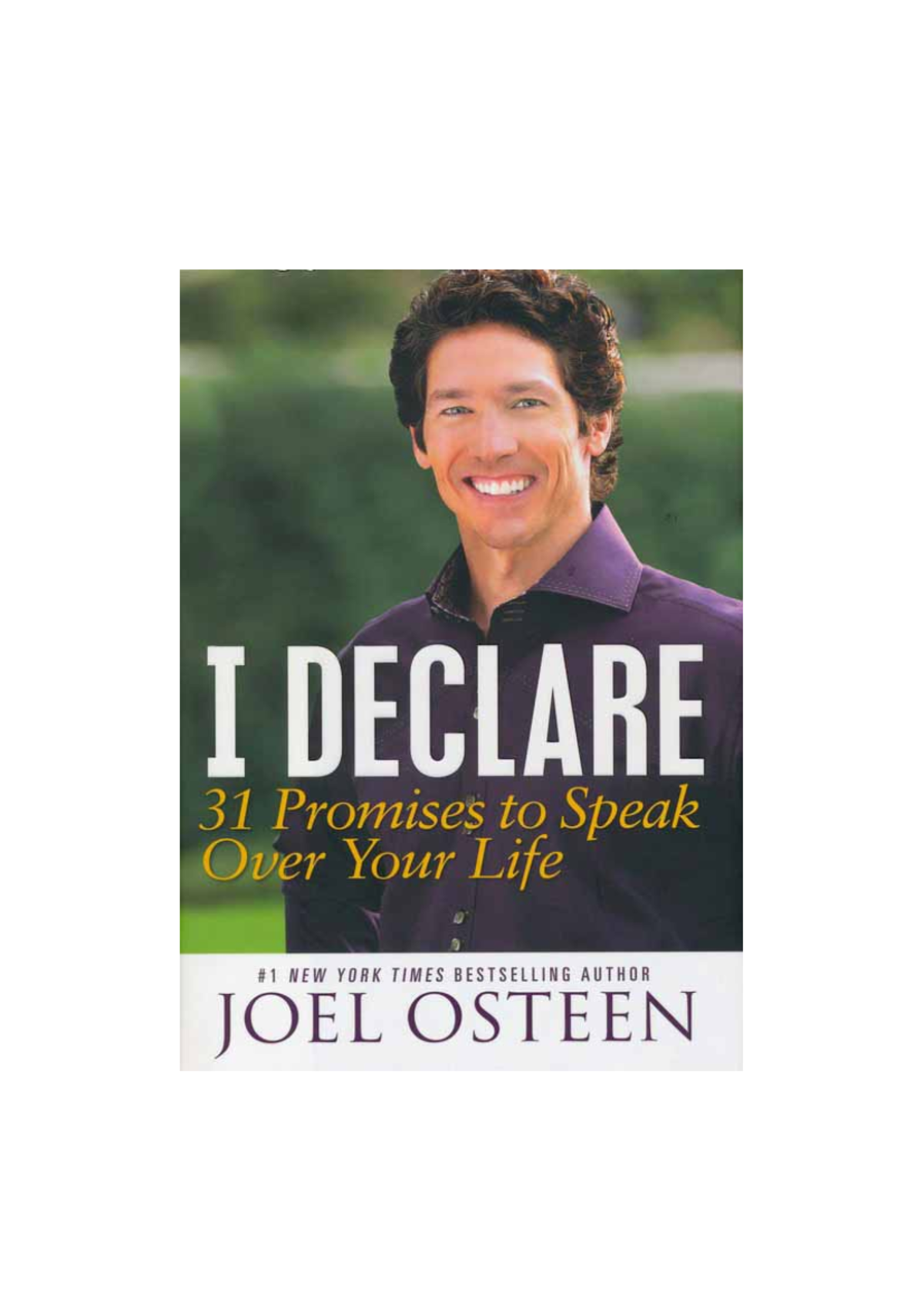 Open 00000161-31 promise to speak over your life - Introduction Our ...