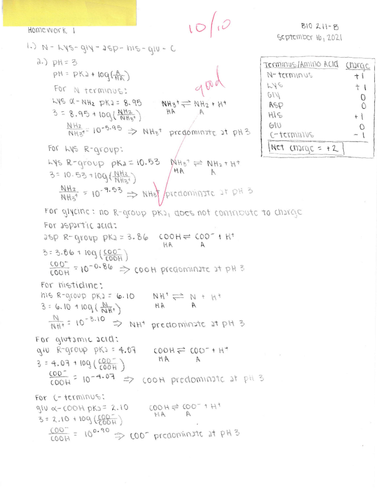 Bio 211 21f homework 1 KEY - fror K I l.) N - L\t- t\ - trp- hrt - qlu ...