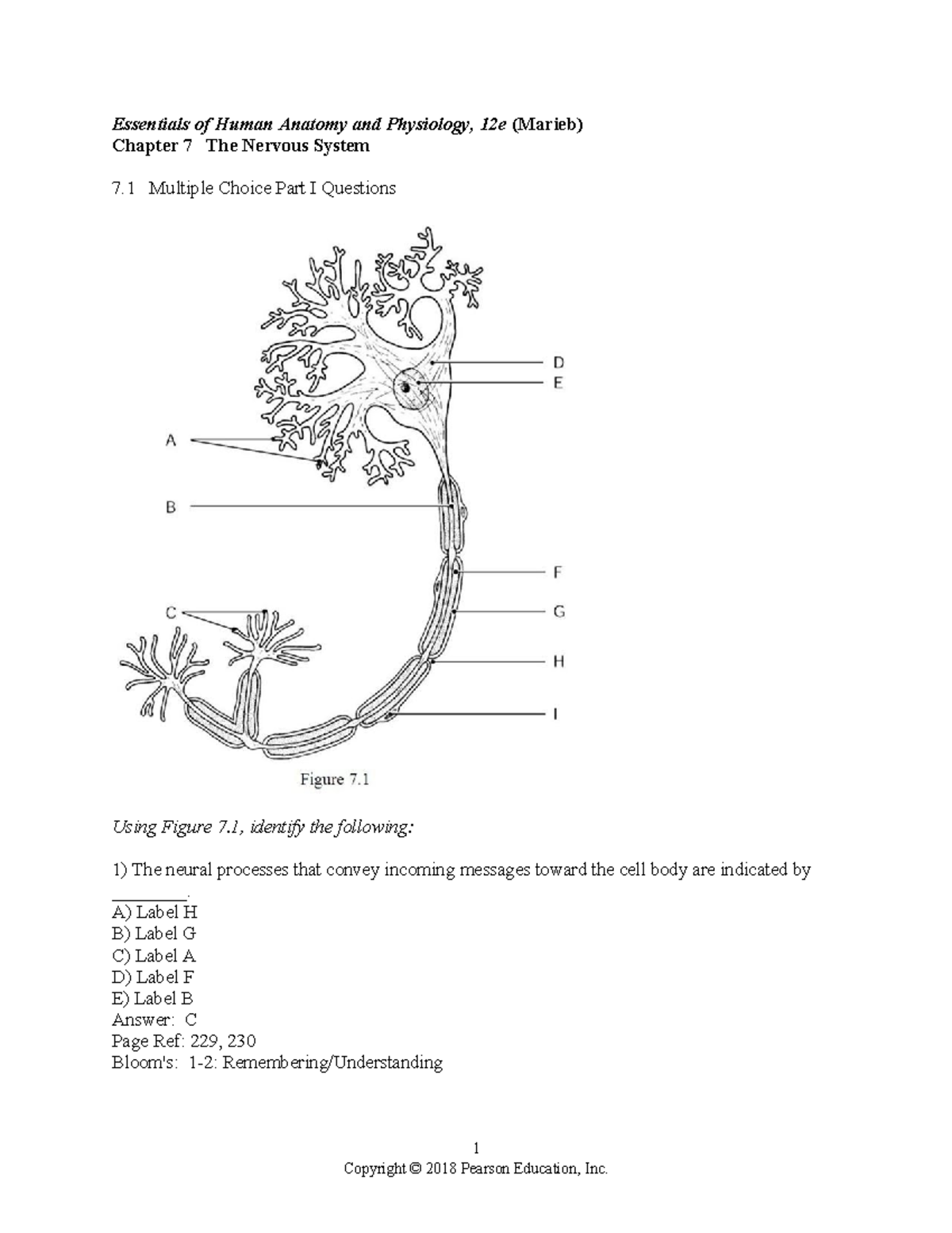 Ch7 - Quiz questions - Essentials of Human Anatomy and Physiology, 12e (Marieb) Chapter 7 The ...