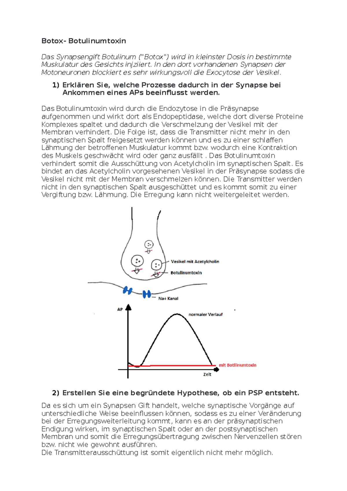 Biologie Laura Becker OQ1 DA 09 Botox - Botox- Botulinumtoxin Das ...