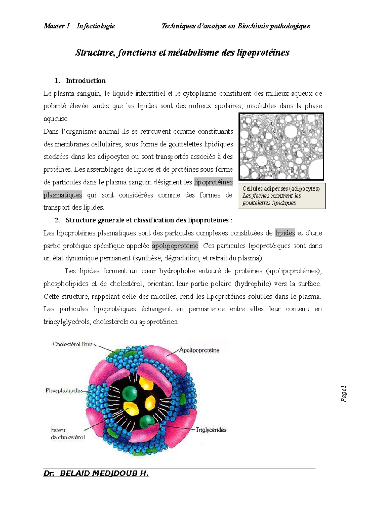 Lipoproteines - cours master 1 spécialité infectiologie - Page Structure, fonctions et ...