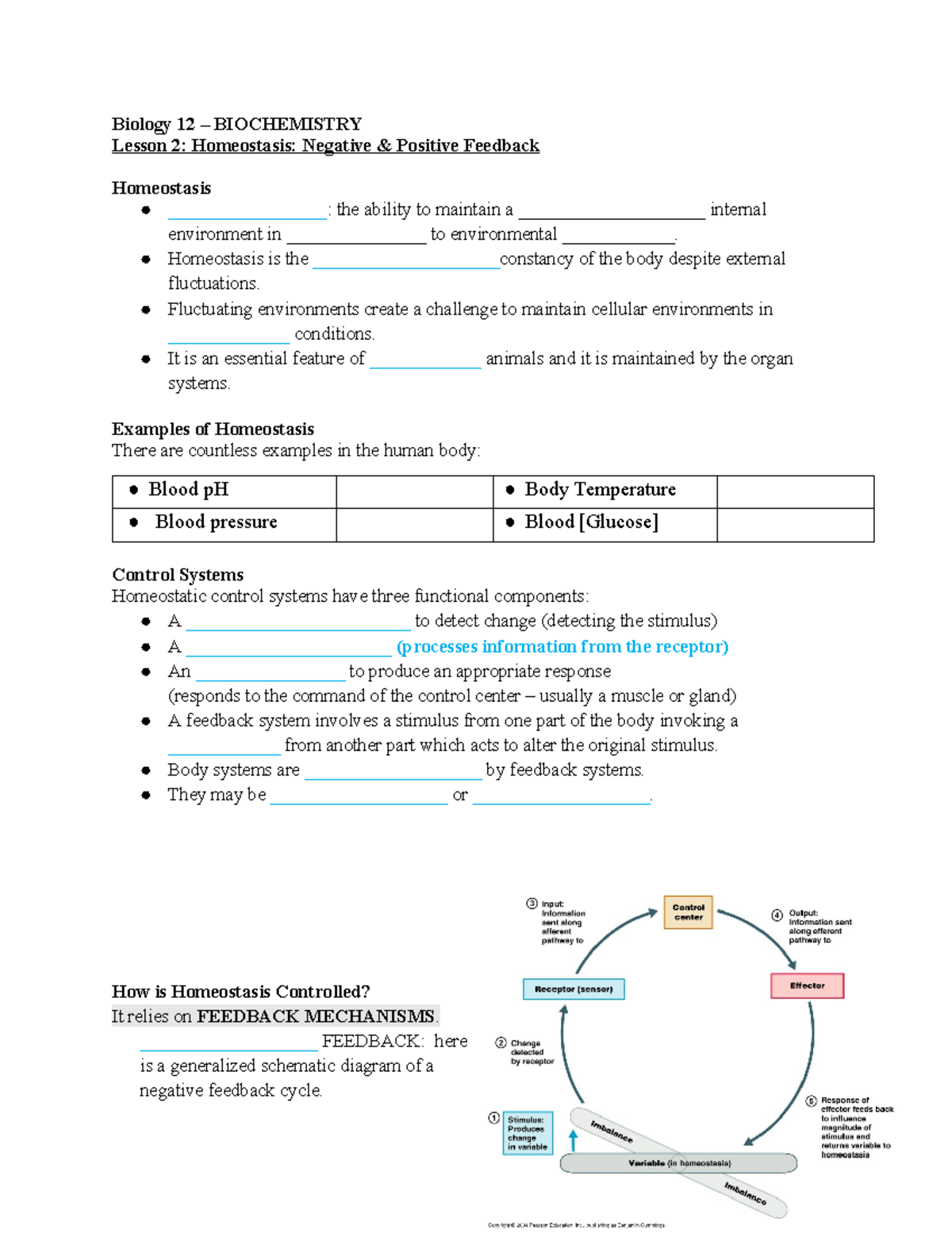 2 Biochemistry - Homeostasis - Biology 12 – BIOCHEMISTRY Lesson 2 ...