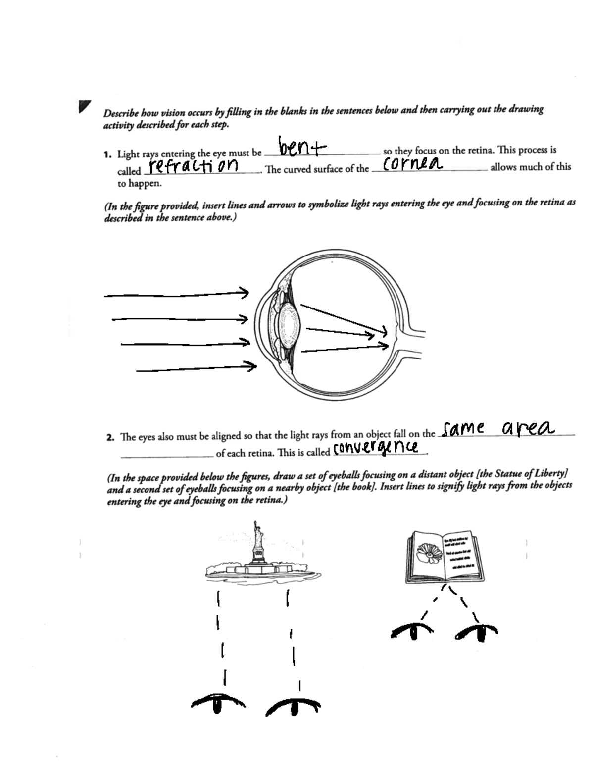 senses worksheet - retraction bent cornea I convergence same area i i ...