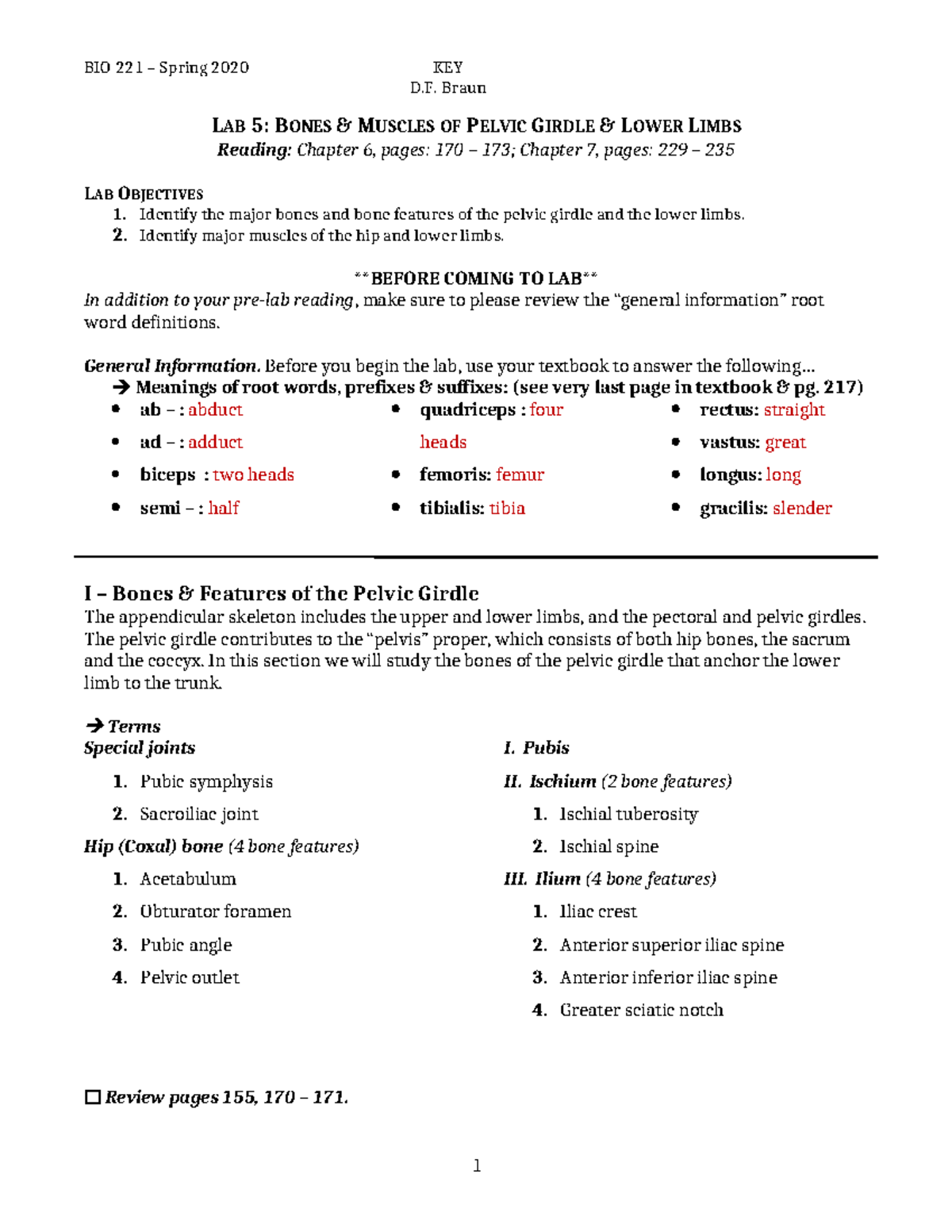 BIO 221 lab 5 - bones & muscles of the lower limbs (Spring 2020)(KEY ...