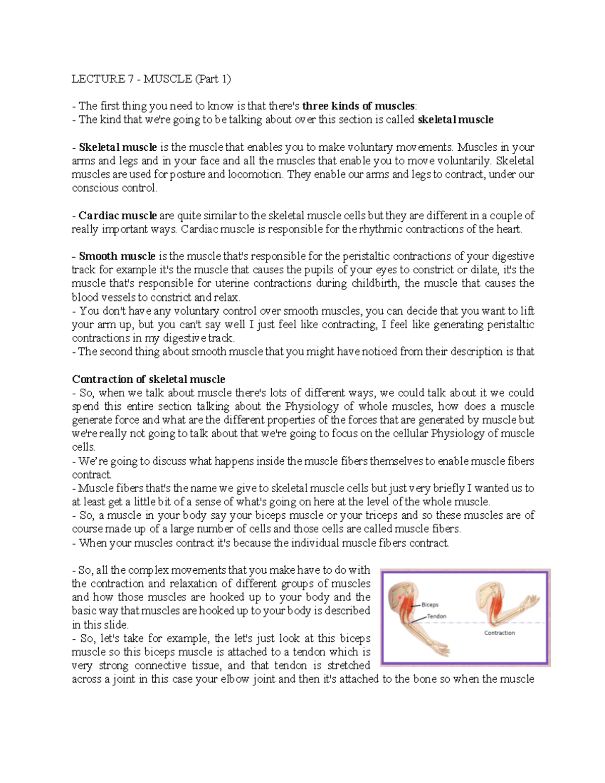 Lecture 7 - Muscle (Part 1) - LECTURE 7 - MUSCLE (Part 1) The first ...