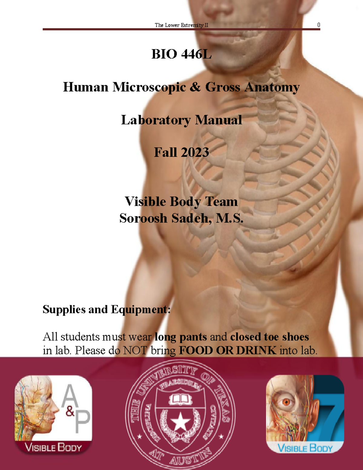 Lab 8 The Lower Extremity 2 - BIO 446L Human Microscopic & Gross ...