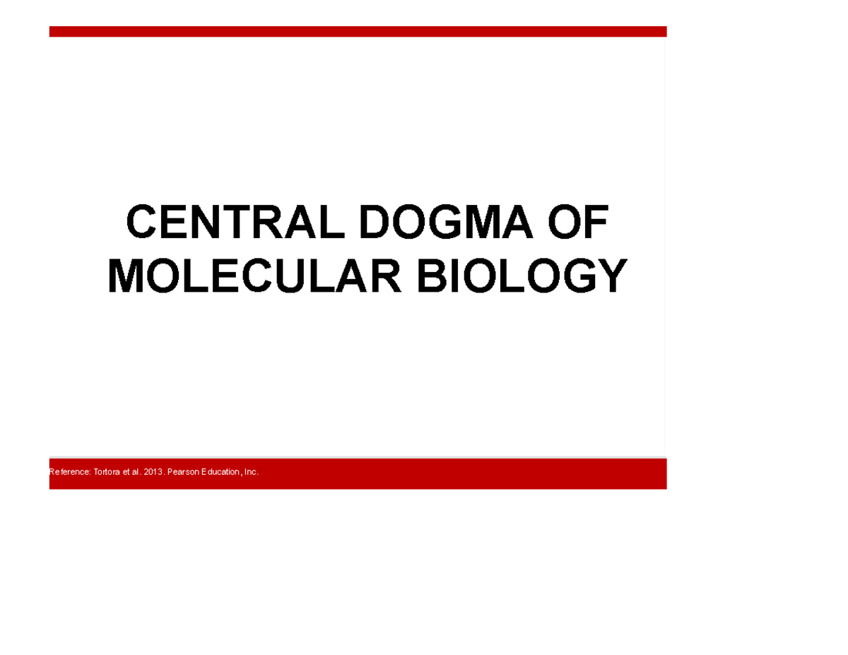 Molbio biotech VLDC PART1 - Copyright © 2013 Pearson Education, Inc ...