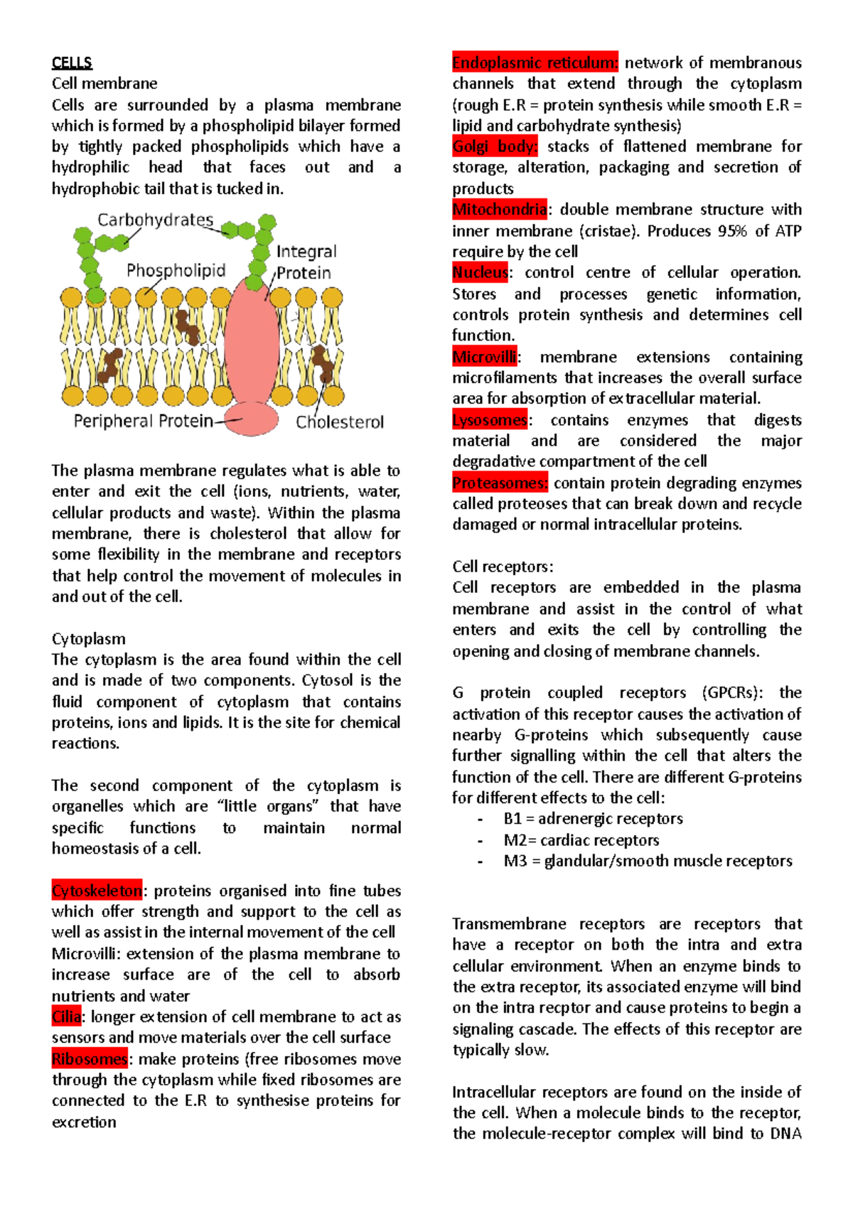 Physiology test 1 notes - CELLS Cell membrane Cells are surrounded by a ...