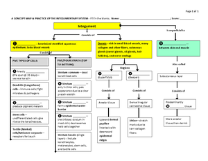 Test Bank - Chapter 2 Cost Concepts - Chapter 2 Cost Terms, Concepts ...