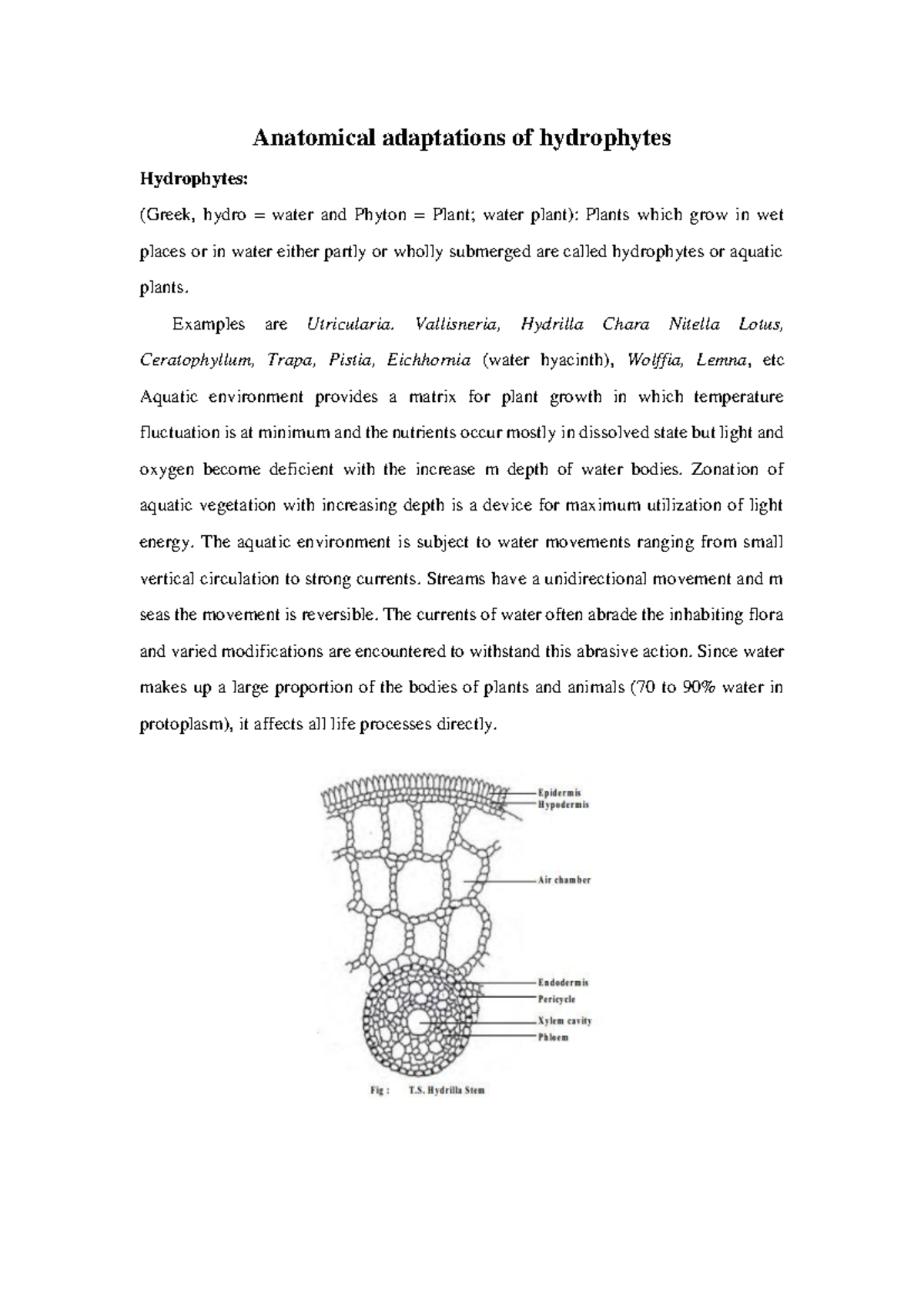 Anatomical adaptations of hydrophytes - Anatomical adaptations of ...