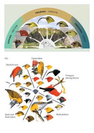 WEEK 1- Earth SCI Activities - Activity 1: A Fault-y Set-Up OBJECTIVES: After performing this ...